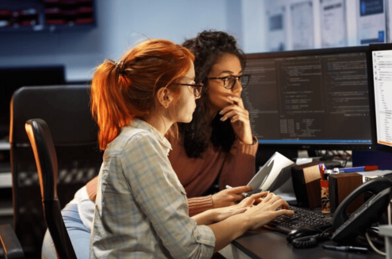 A Look At The Software Developer's Work Environment